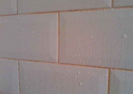 Identifying and Removing Pink Mold in Your Shower - Damage Control